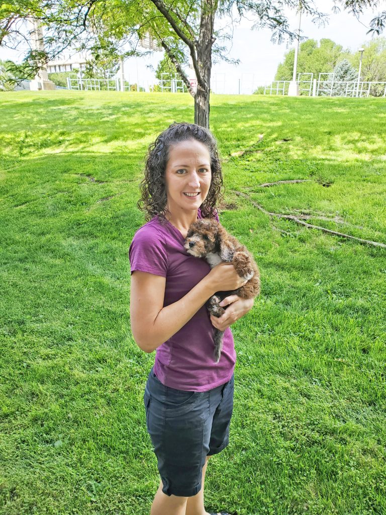 Cockapoo Puppy - Kokopelli Cockapoos