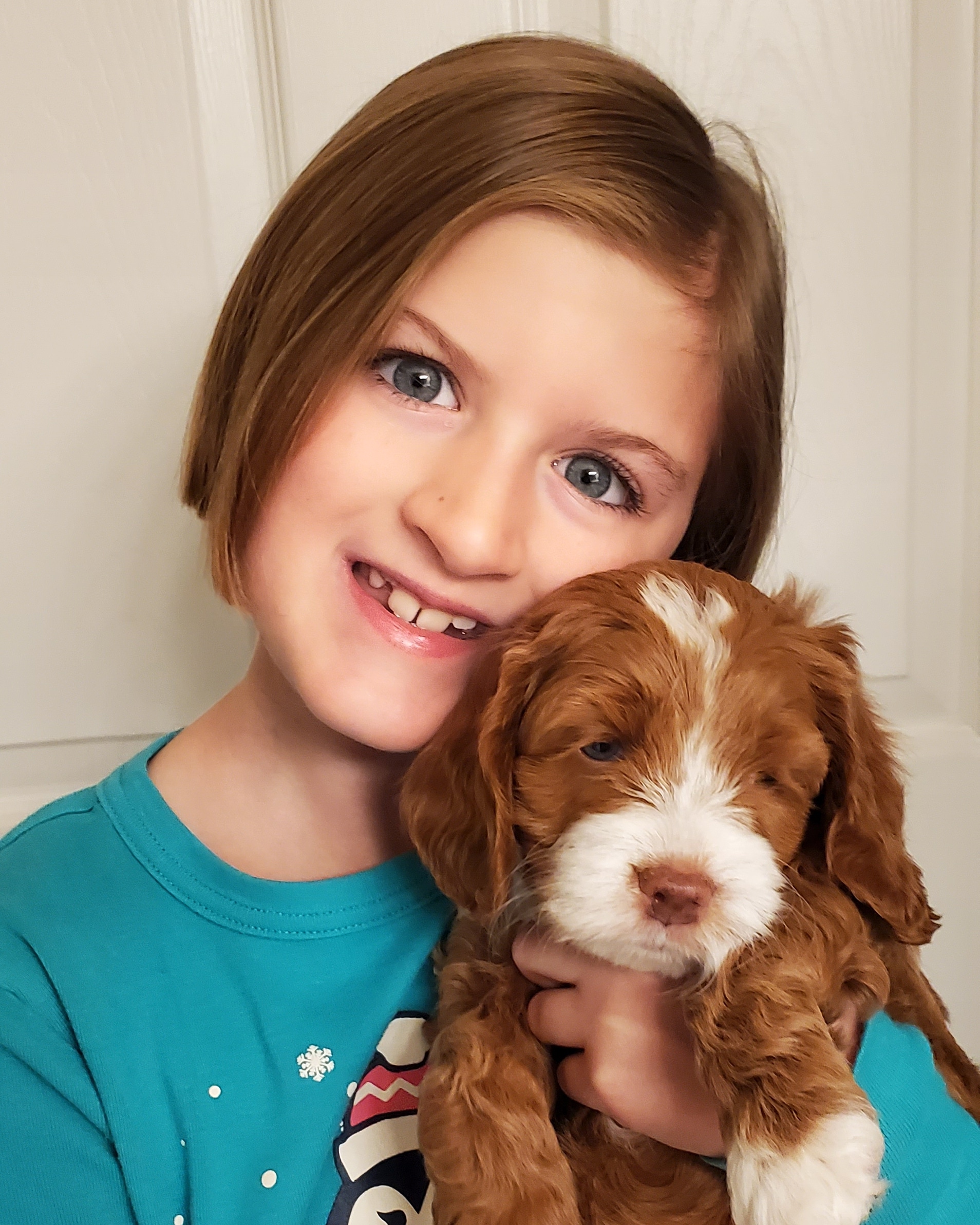 Cockapoo Puppy - Kokopelli Cockapoos